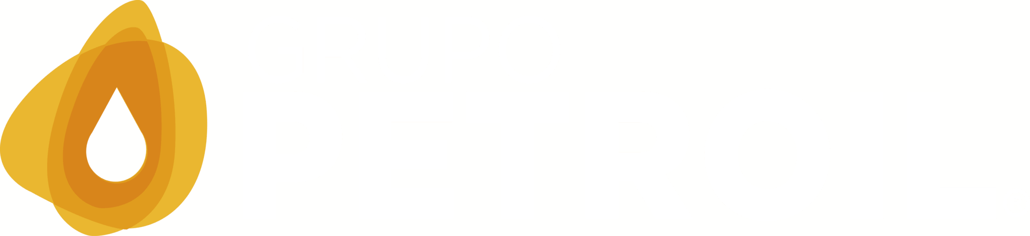 Nosotros - Grupo Petroil